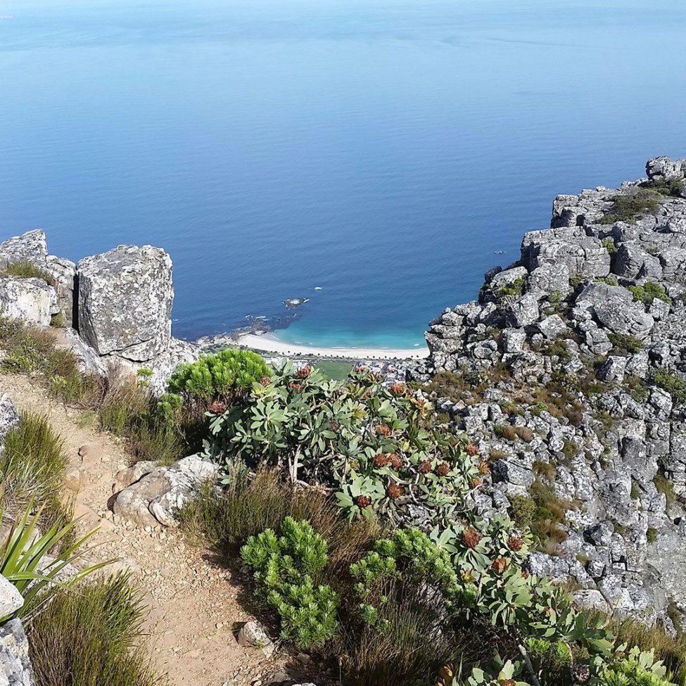 Hike Addicts - India Venster, Table Mountain's Most Exciting Hike