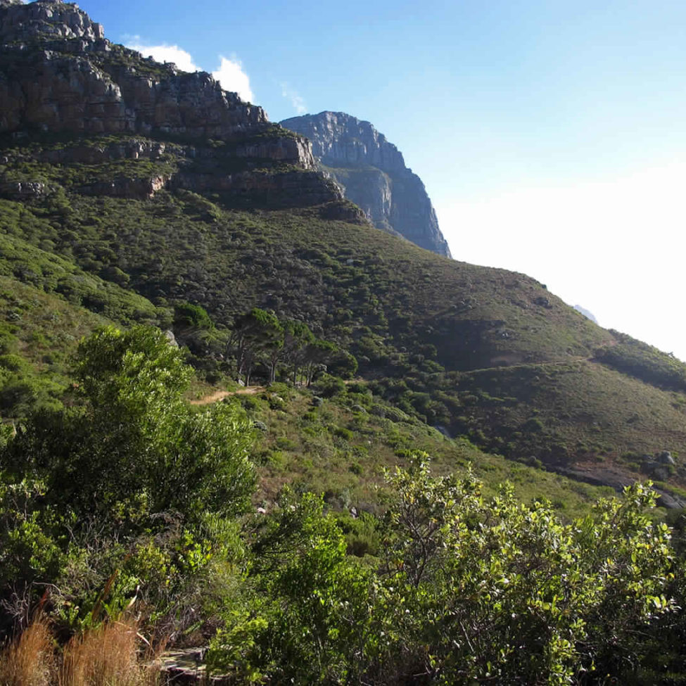 Hike Addicts - The Pipe Track Hiking Route on Table Mountain