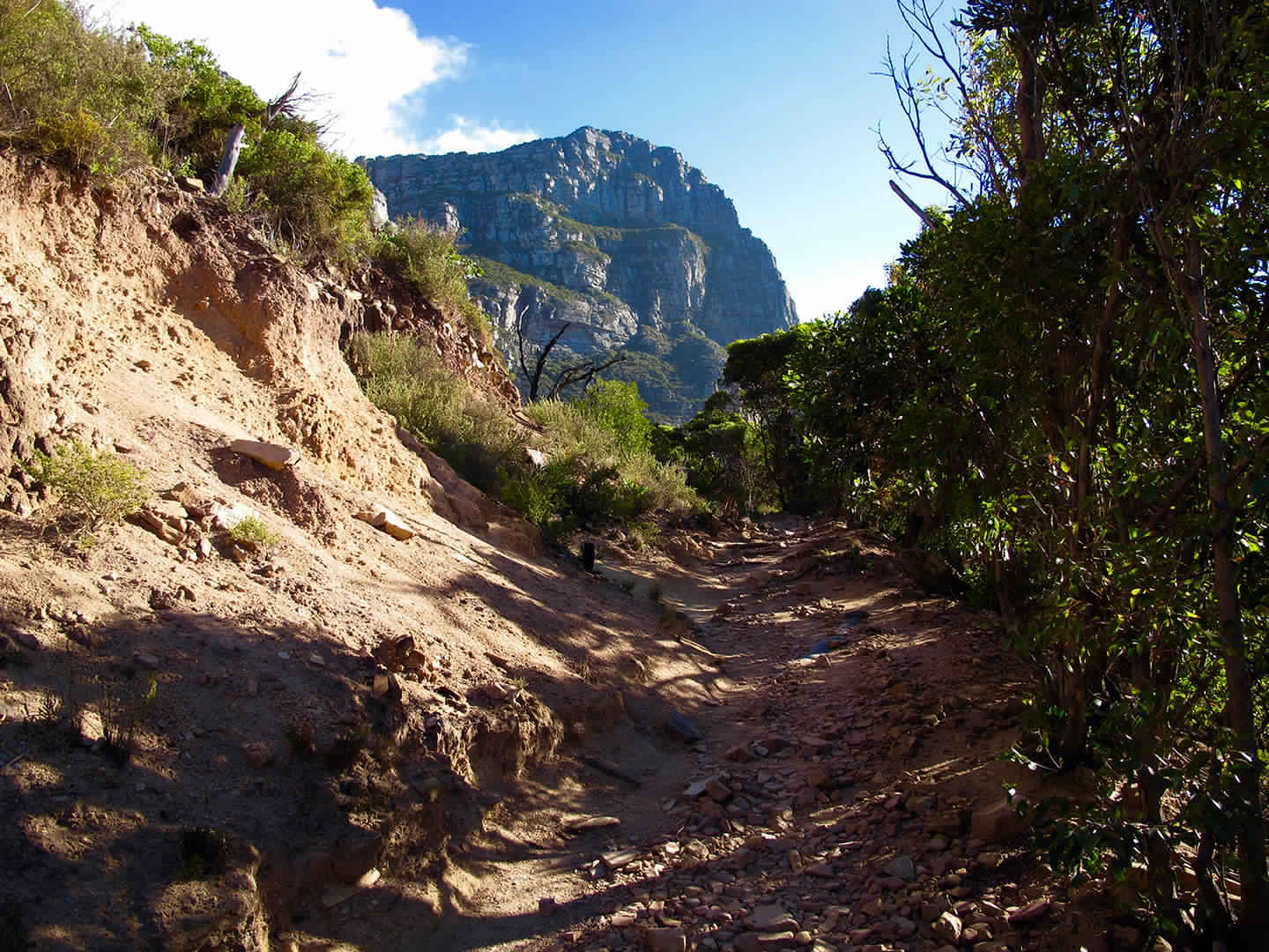 The Pipe Track Hiking route on Table Mountain South Africa