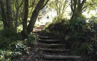 Skeleton Gorge hiking route on Table Mountain South Africa.