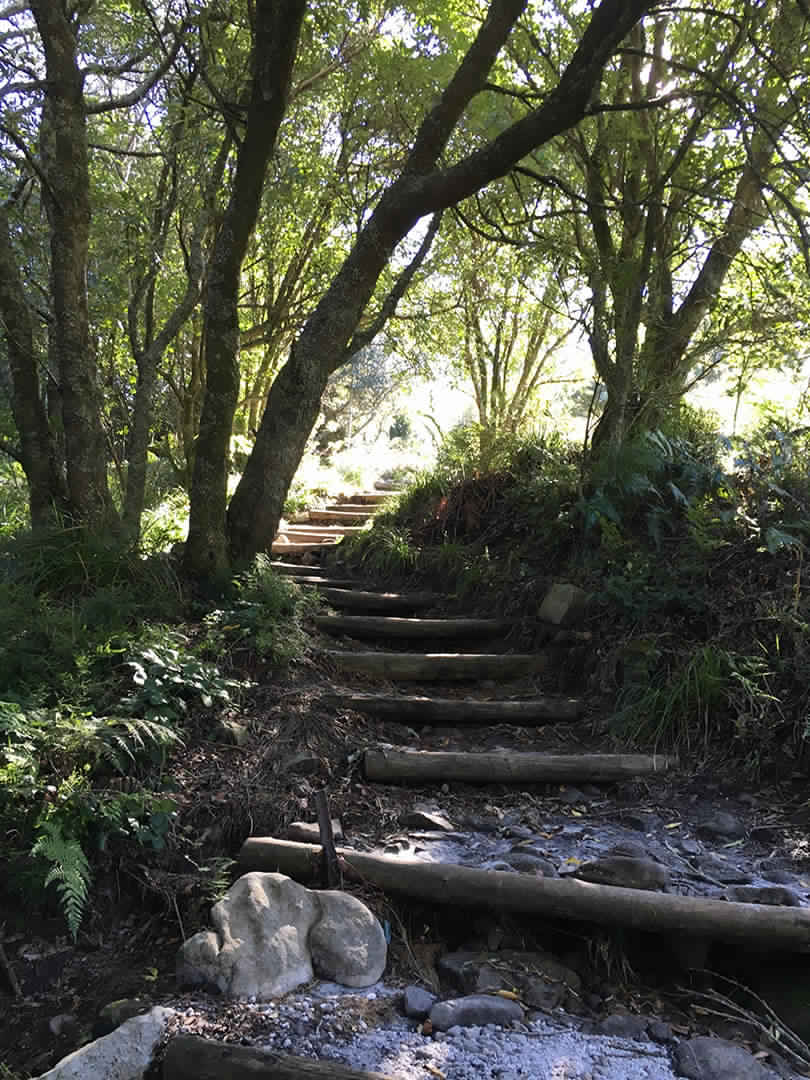 Hike Addicts - Skeleton Gorge Hike on Table Mountain, Cape Town