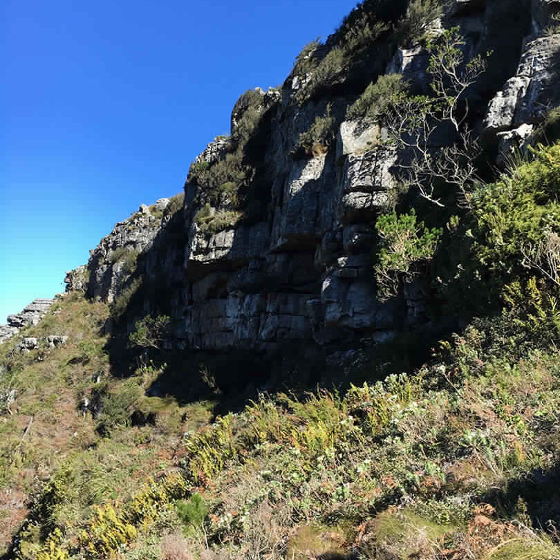 Hike Addicts - Skeleton Gorge Hike on Table Mountain, Cape Town