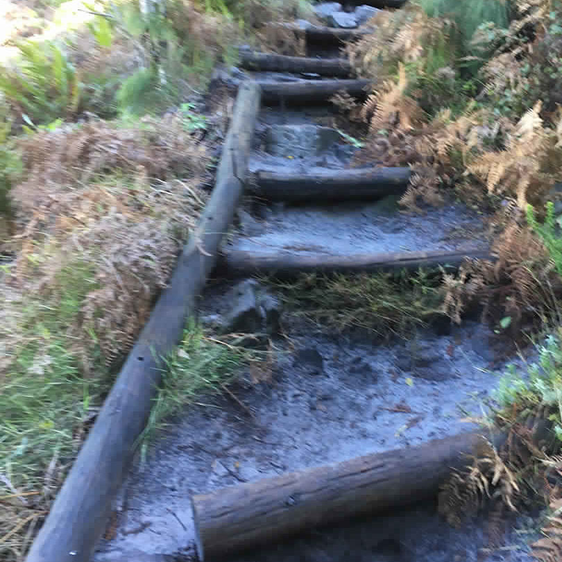 Hike Addicts - Skeleton Gorge Hike on Table Mountain, Cape Town