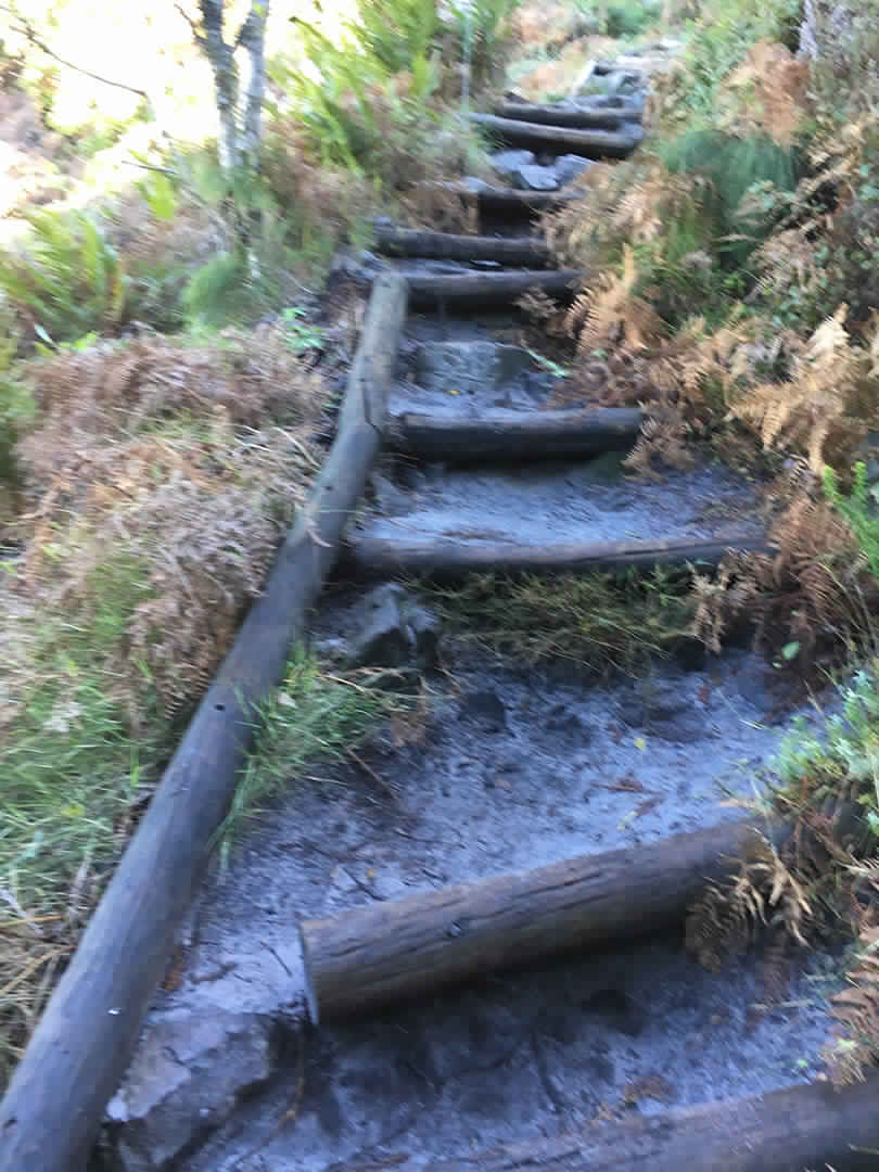 Hike Addicts - Skeleton Gorge Hike on Table Mountain, Cape Town