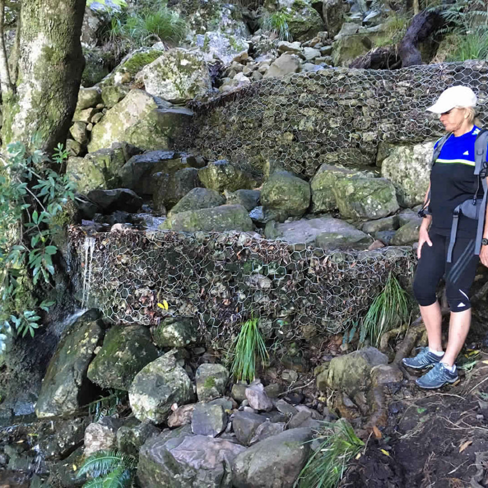 Hike Addicts - Skeleton Gorge Hike on Table Mountain, Cape Town