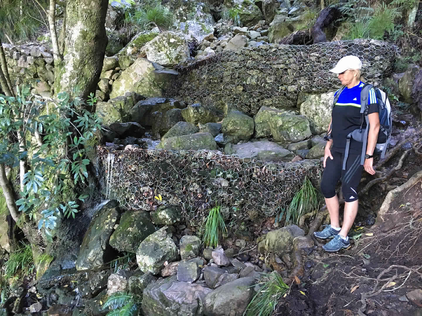 Hike Addicts - Skeleton Gorge Hike on Table Mountain, Cape Town
