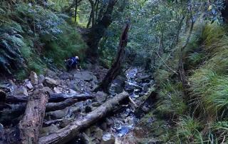Skeleton Gorge hiking route on Table Mountain South Africa.