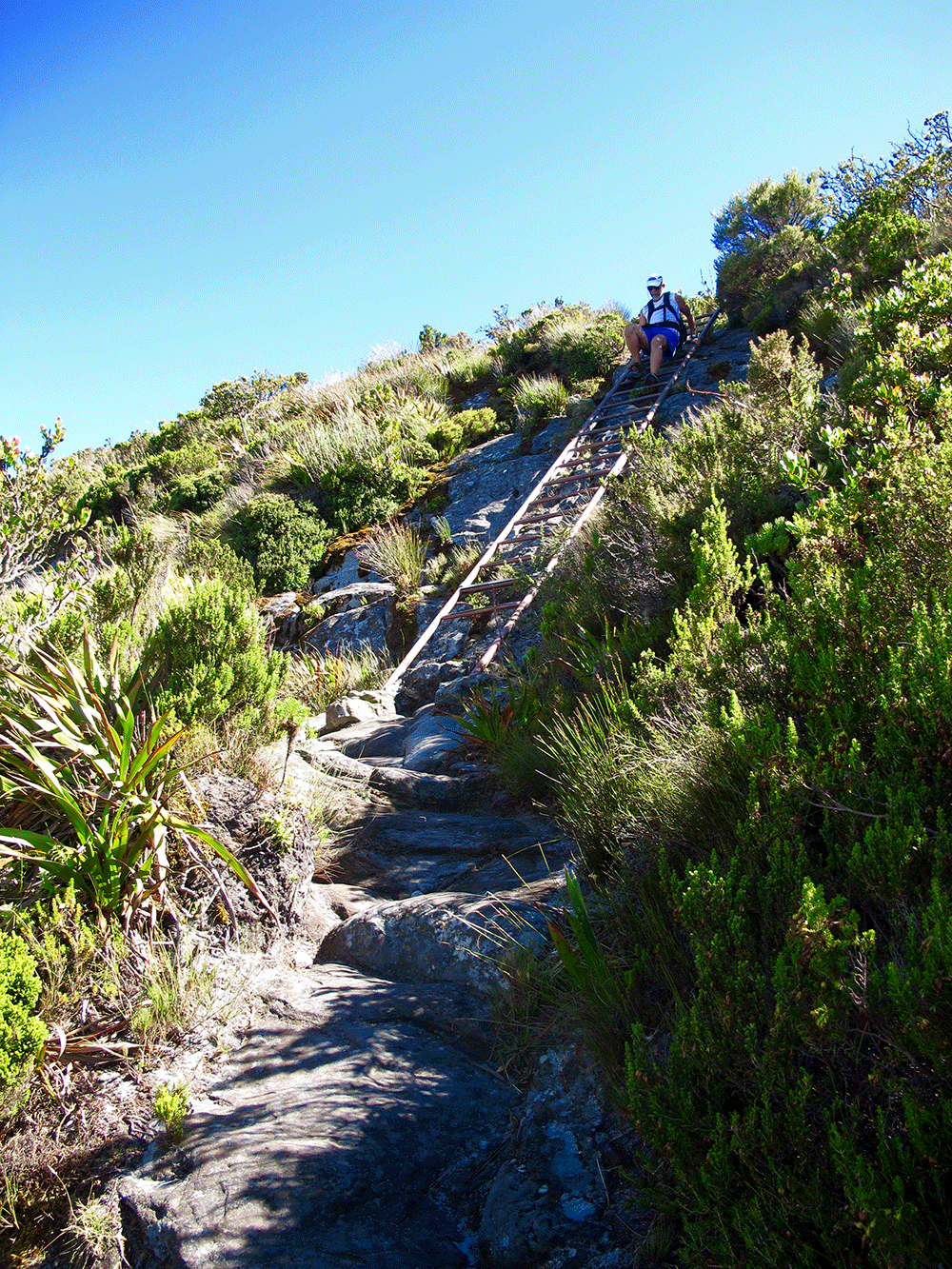 Table Top Mountain Easy Walk in Cape Town, South Africa