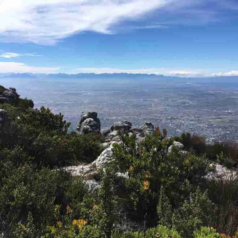Hike Addicts - Skeleton Gorge Hike on Table Mountain, Cape Town