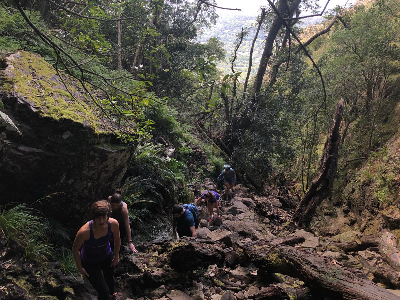 Hike Addicts - Skeleton Gorge Hike on Table Mountain, Cape Town