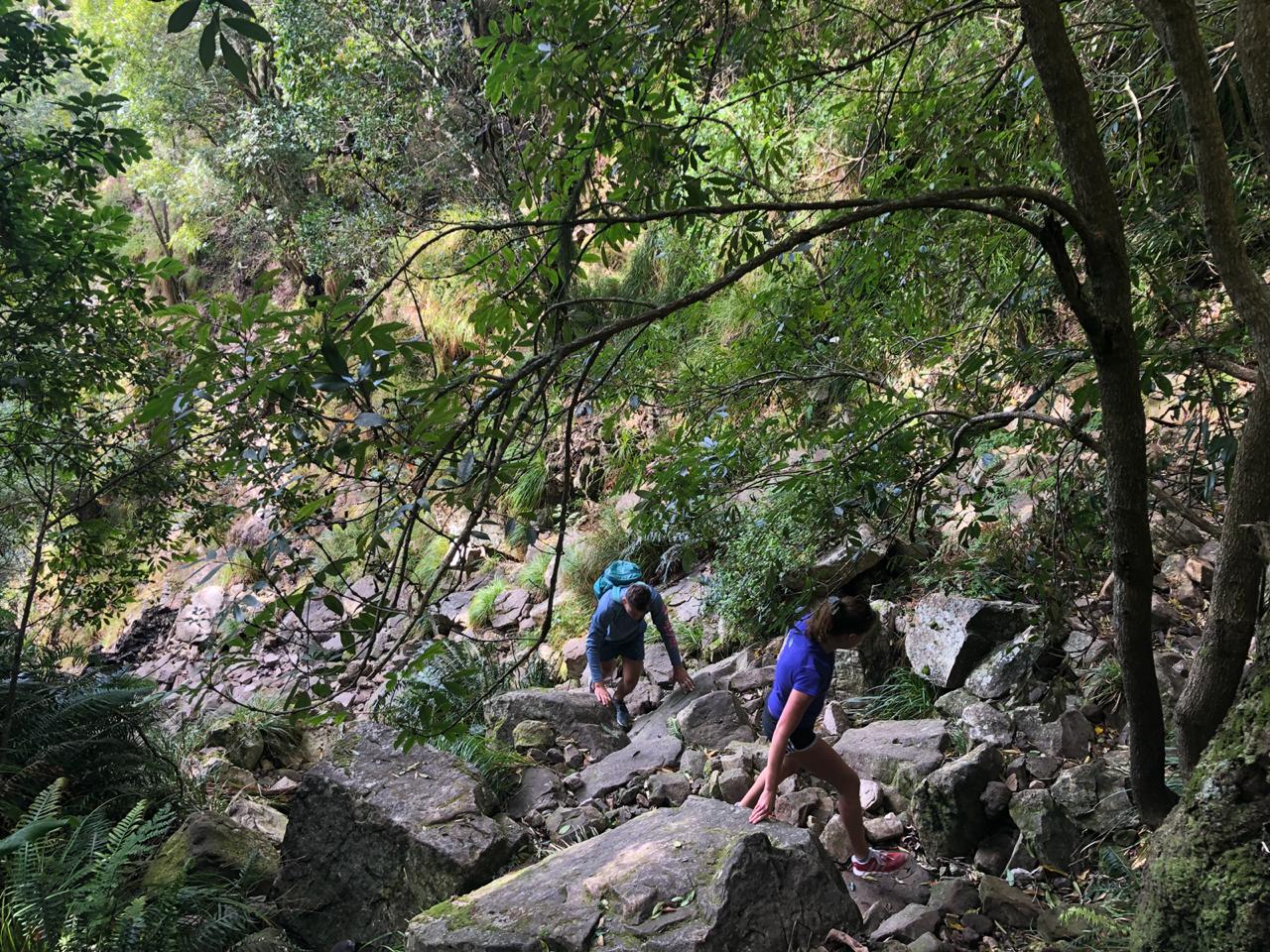 Hike Addicts - Skeleton Gorge Hike on Table Mountain, Cape Town