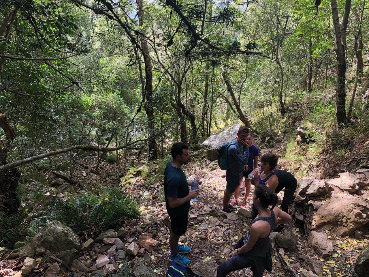 Hike Addicts - Skeleton Gorge Hike on Table Mountain, Cape Town